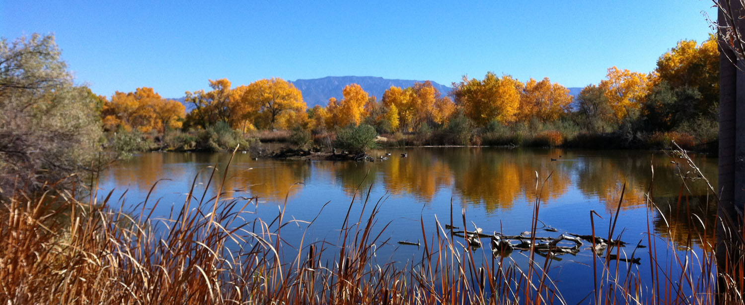 Albuquerque Fall 2024 Fun Fall Activities For Your Family In